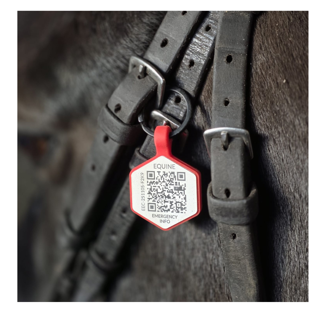 GK Horsemanship Equipment